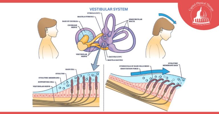 Balance Problems Explained: Causes, Symptoms, And How Physical Therapy ...
